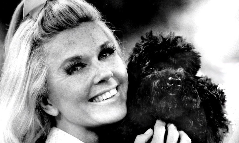 All Heart: Doris Day & Why She Matters - Vanguard of Hollywood
